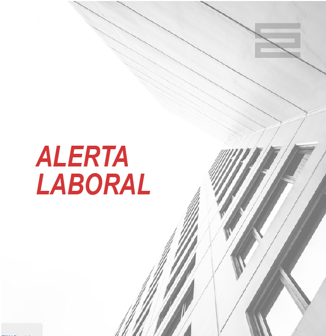 CÁPSULA LABORAL – CUADRO DE CATEGORÍAS Y FUNCIONES – SRPM